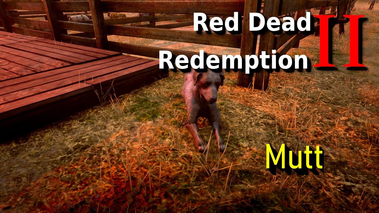 Where to find the mutt in Red Dead Redemption 2 - YouTube