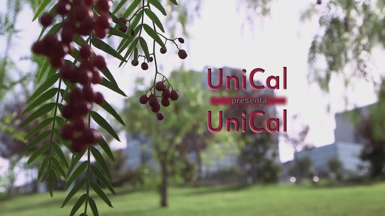 Unical presenta Unical - YouTube