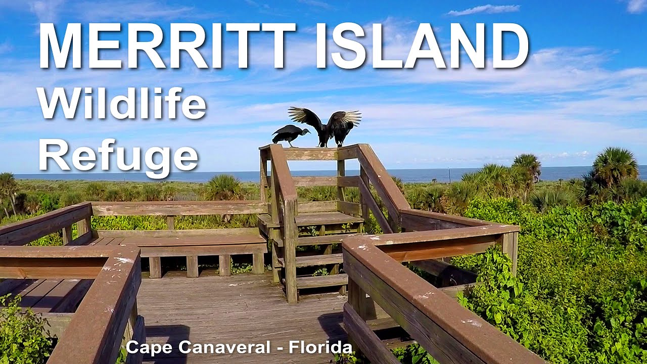 National Wildlife Refuge - Merritt Island (Florida) - YouTube
