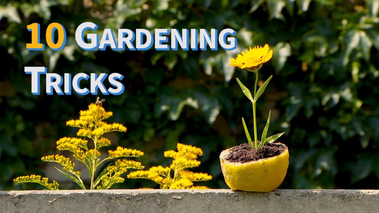 Garden Tips and Tricks [ManoMano UK] - YouTube
