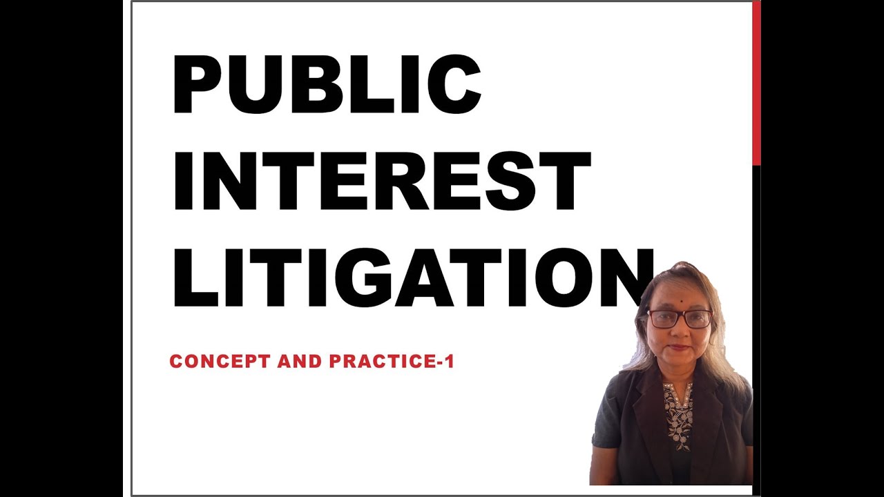 Constitutional Law Public Interest Litigation Explained in 15 Minutes ...
