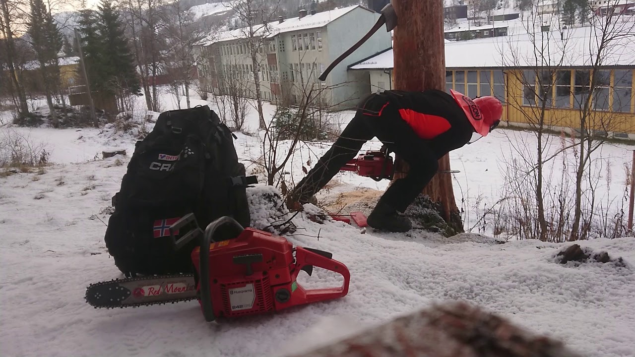 Felling a Norway Spruce snag, Husqvarna 254 xpg - YouTube