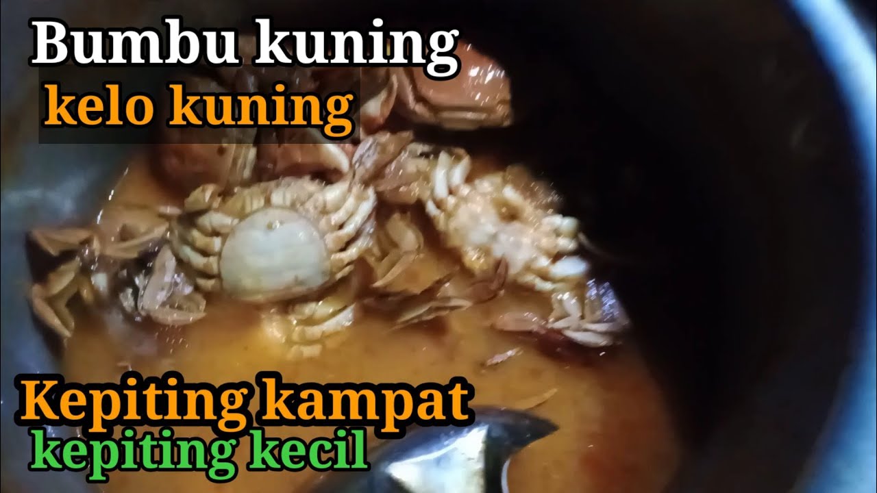Kepiting kampat atau kepiting kecil bumbu kuning... enak banget - YouTube