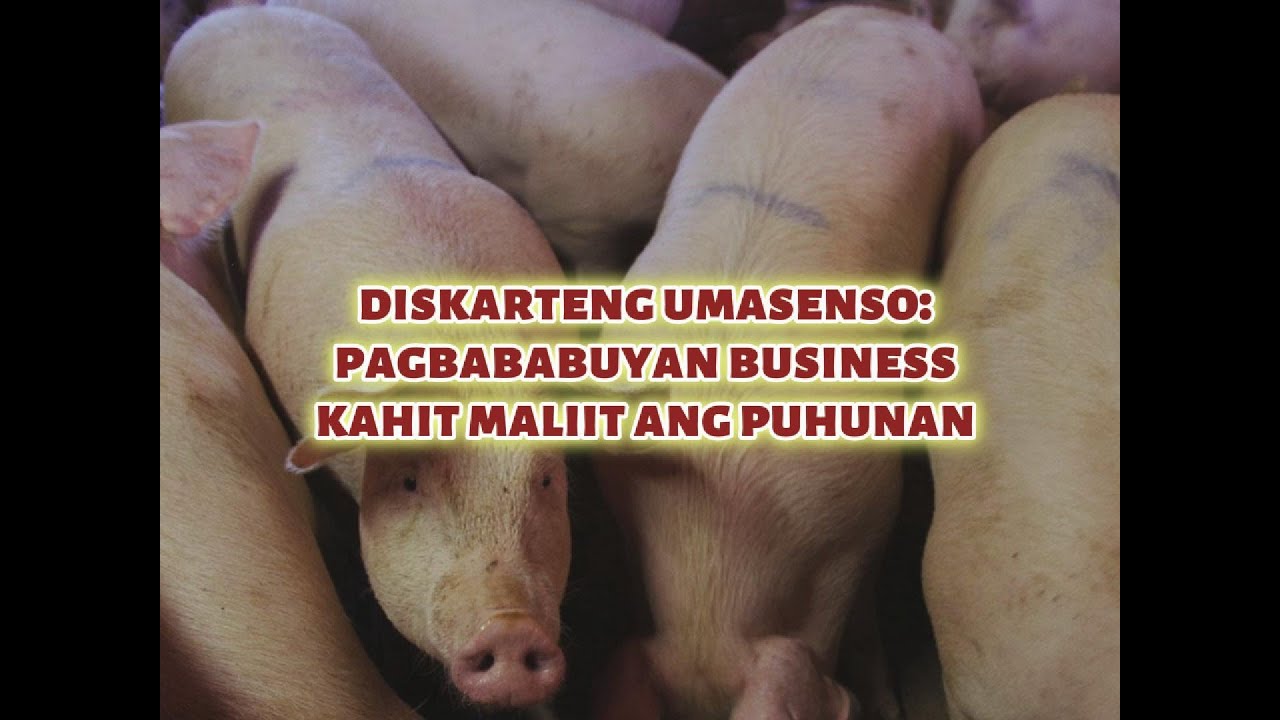 "Diskarteng Umasenso: Pagbababuyan Business Kahit Maliit ang Puhunan ...