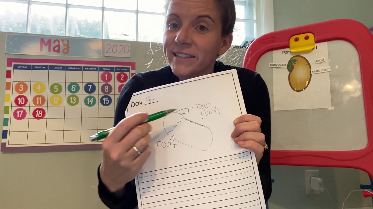 Seed Observation Journal 2 - YouTube