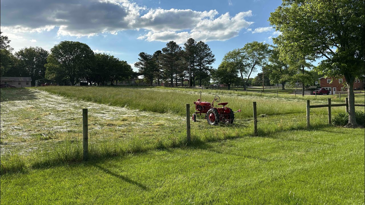 1st Hay Cutting 2025 with the Farmall Cub - YouTube