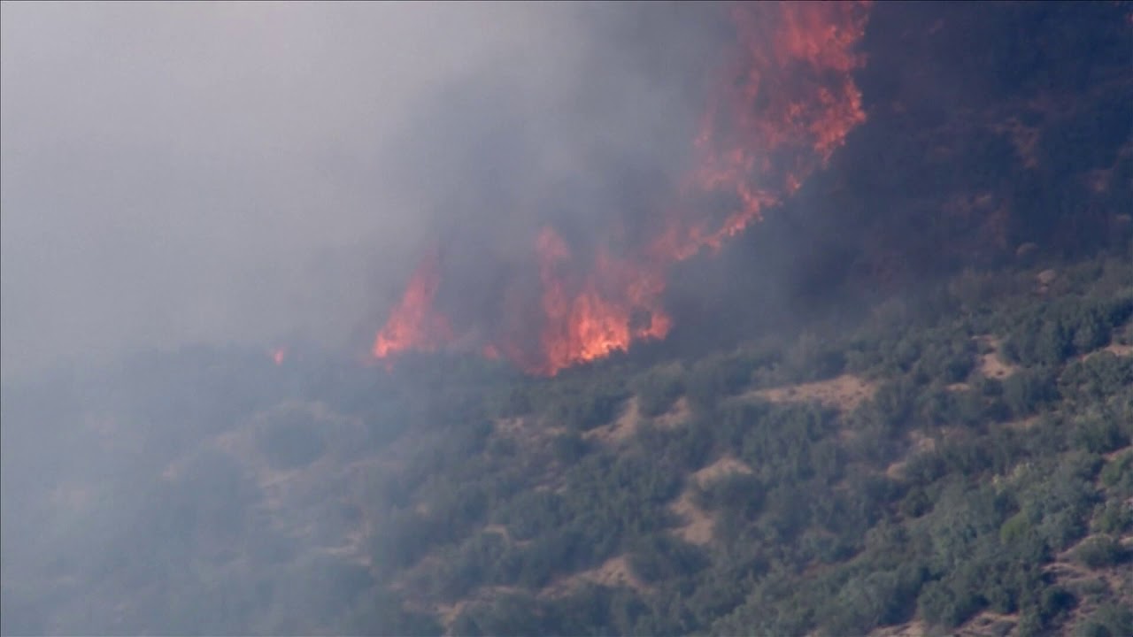 Bush Fire Friday.mp4 - YouTube