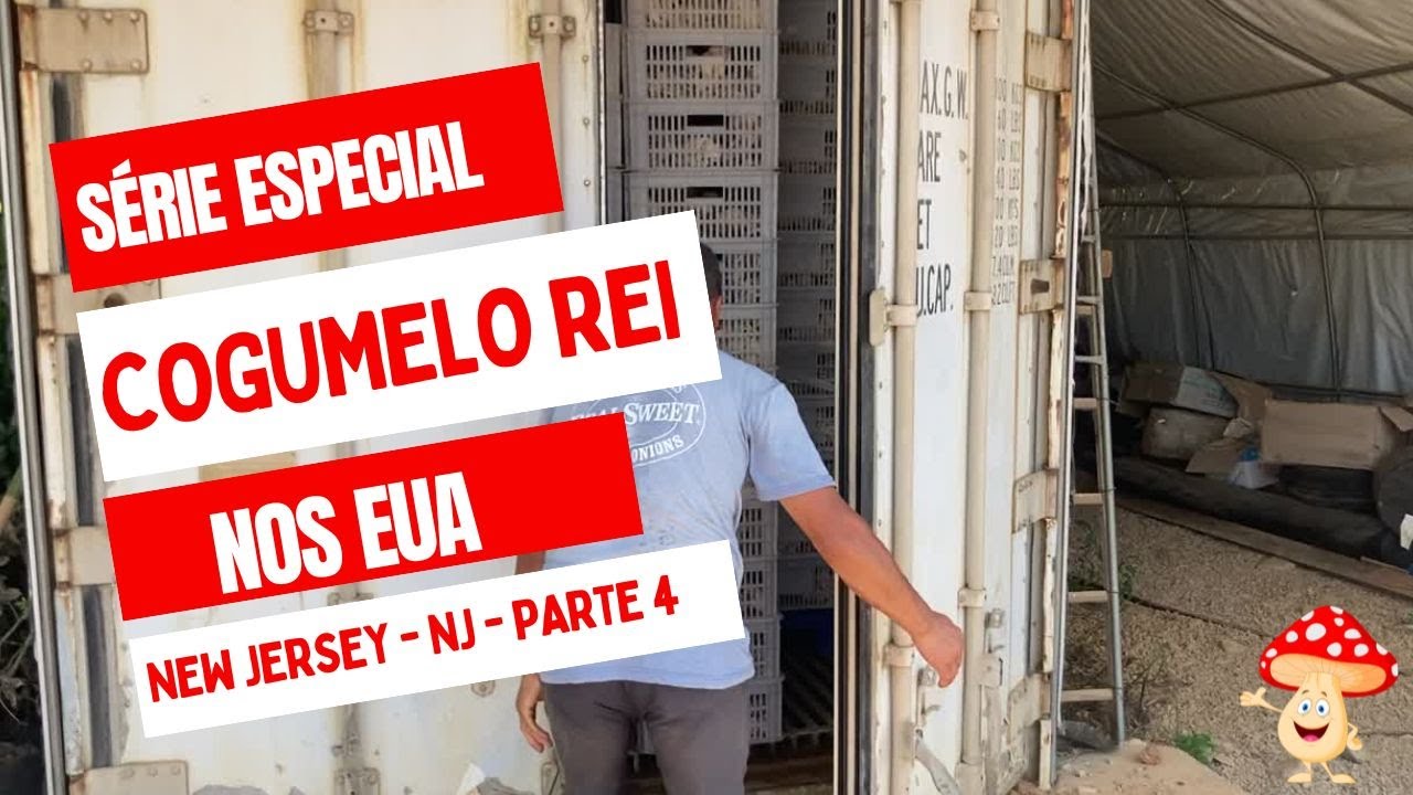 Cogumelo Rei na Fazenda da QIHE BIOTECH - New Jersey - Vídeo 11 - YouTube