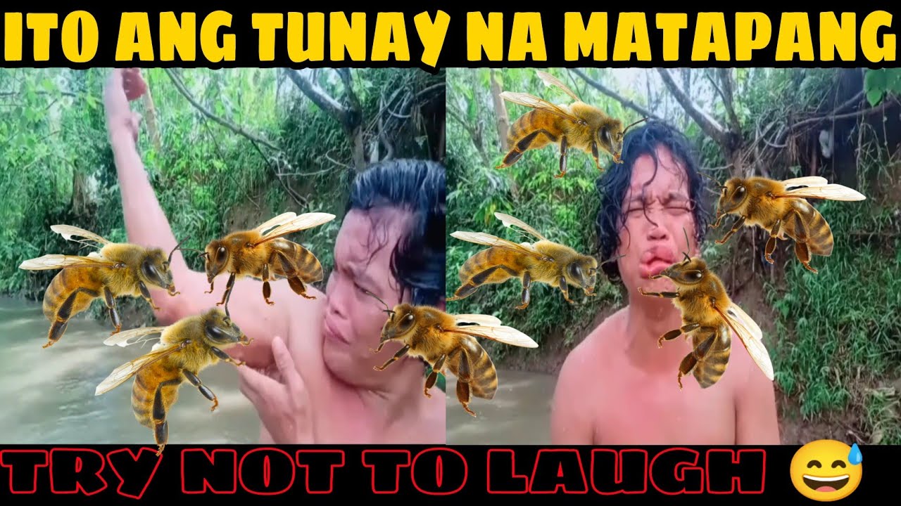 ANG TAONG HUMAMON SA PULOT PUTYUKAN O ANG TINATAWAG NA HONEY BEE | TRY ...