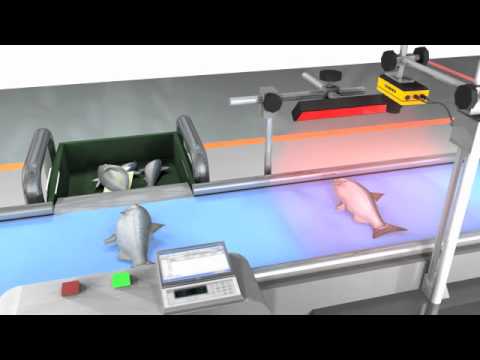 Agriculture Vision Inspection ( food & packaging ) - YouTube