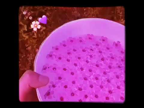#Soundsapp💜🌸
