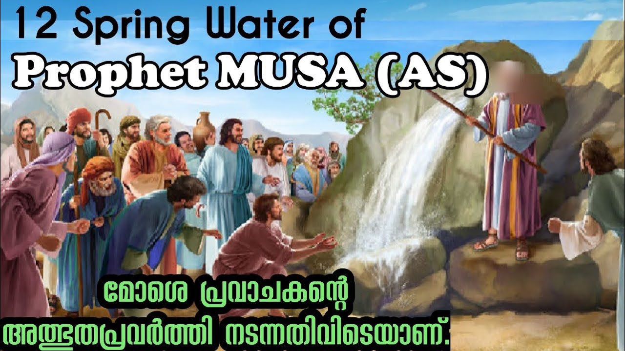 12 Springs Water Of Prophet MUSA (AS) in Maqna | Miracle of Moses |Neom ...