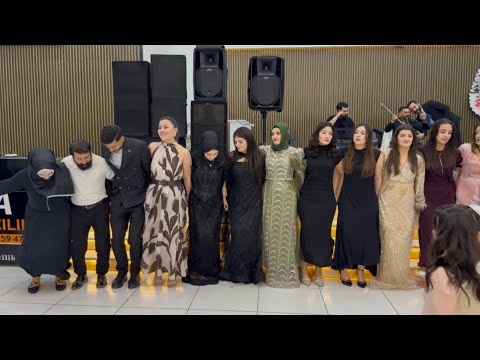 Şeğmuse Erbani Halay Cida Kızıltepe Düğünü 2026 
