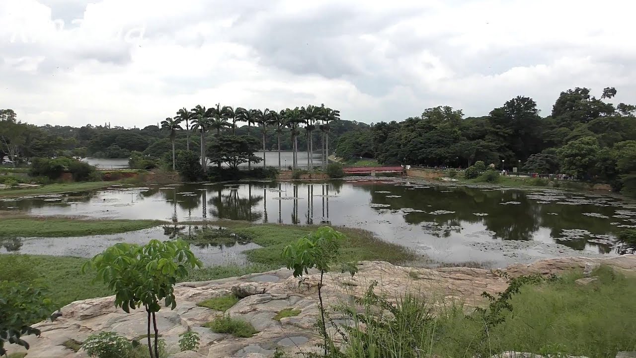 BANGALORE'S LALBAGH LAKE FULL FOR FIRST TIME IN A DECADE - YouTube