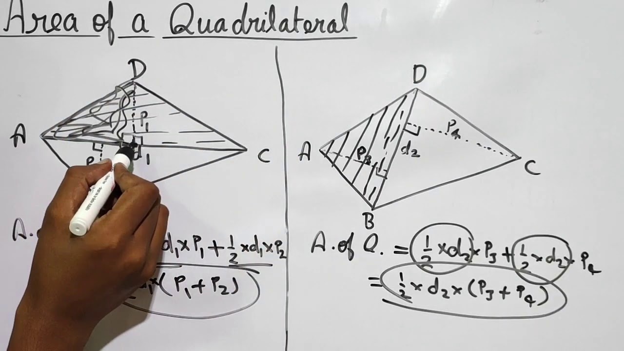 How to find the Area of a Polygon - Chapter 18 - CLASS 8 - RS Aggarwal ...