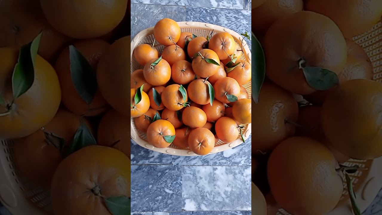 # orange 🍊 keno # - YouTube