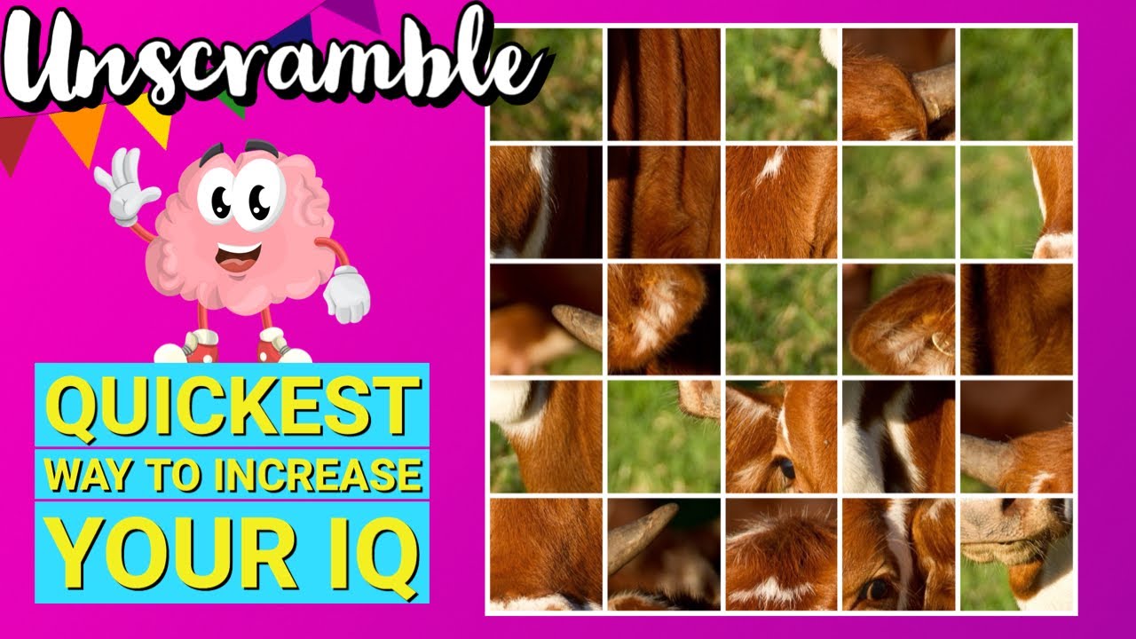 Increase IQ In Minutes ORIGINAL Photo Scramble Puzzles Proven To increase-iq-in-minutes-original-photo-scramble-puzzles-proven-to