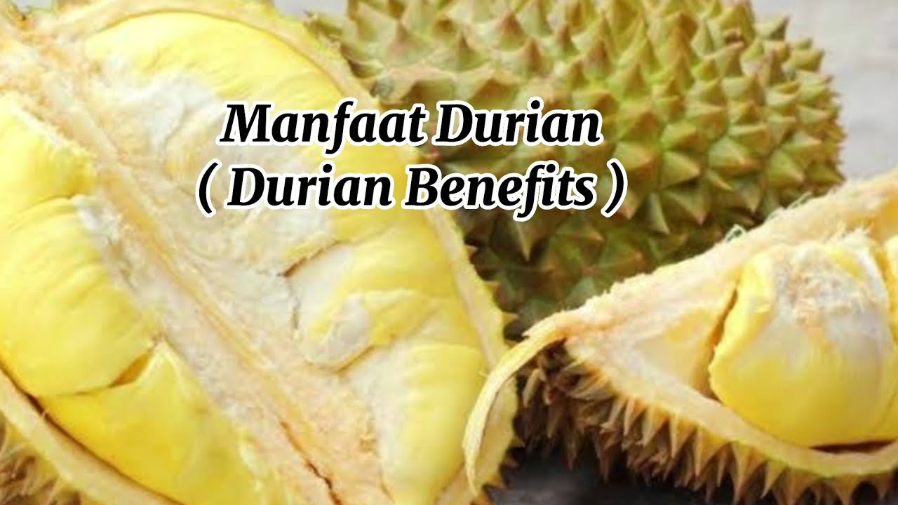 do you like this fruit? durian benefits, buah unik dan paling favorit ...