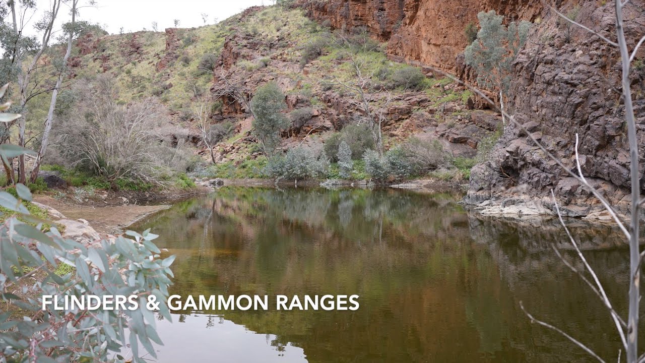 Arkaroola Episode 3 || Gammon Ranges || Flinders & Gammon Ranges - YouTube
