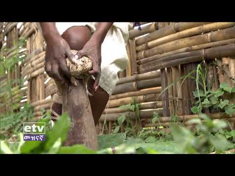 Etv Entertainment Live Stream - YouTube