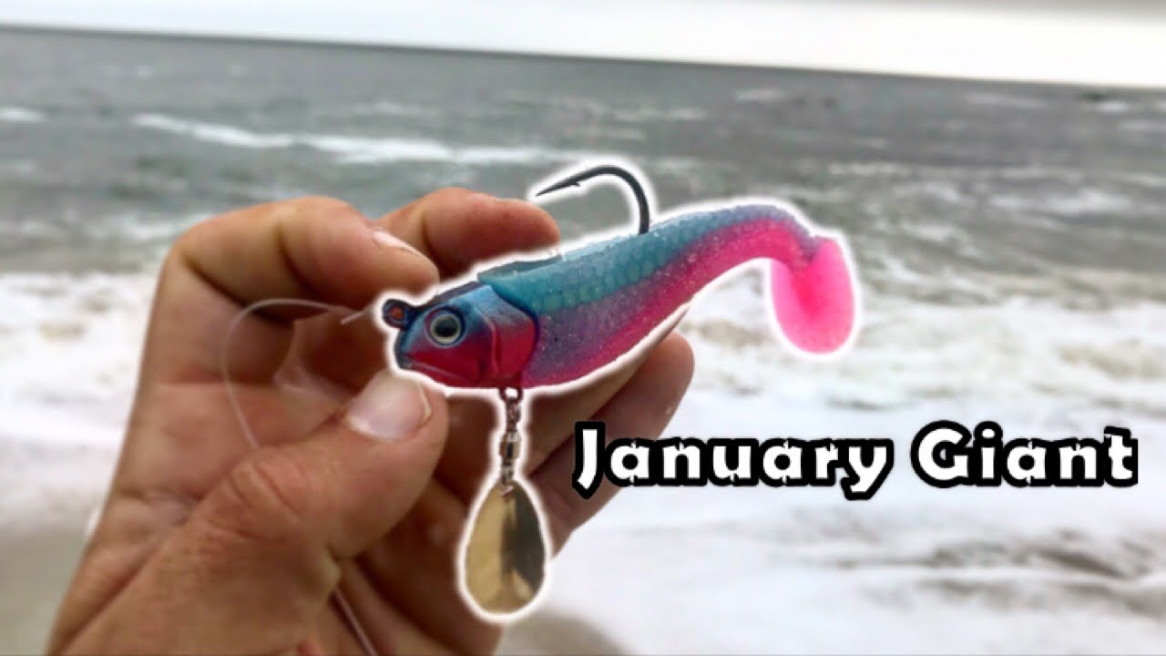 JANUARY GIANT - How To Fish Soft Plastics In The Winter (Cold Water) - YouTube