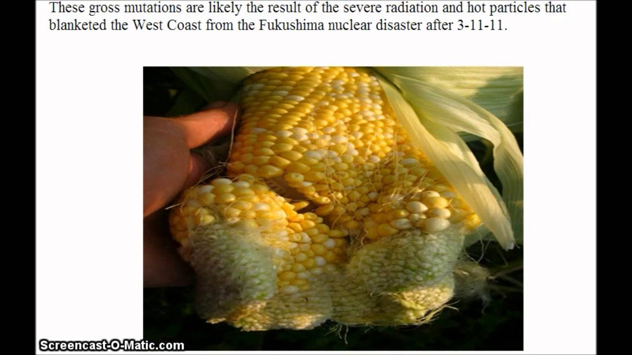 Radiation mutations on West Coast 2014 - YouTube