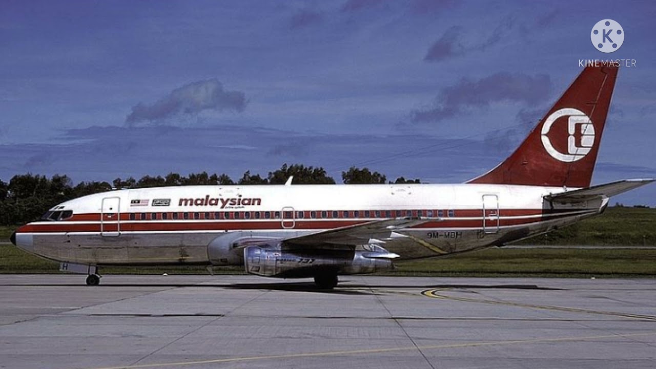 See the description. (Malaysia Airlines System Flight 653) - YouTube
