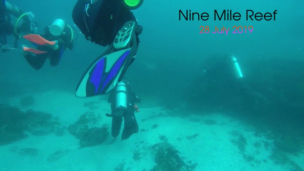 Nine Mile Reef 28 JULY 2019 - YouTube