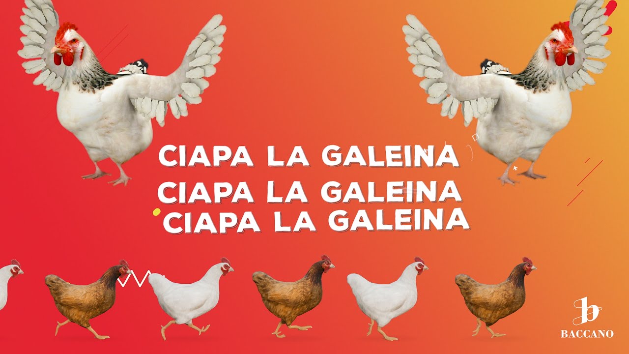 Ciapa La Galeina - Betobahia - KARAOKE VERSION - YouTube