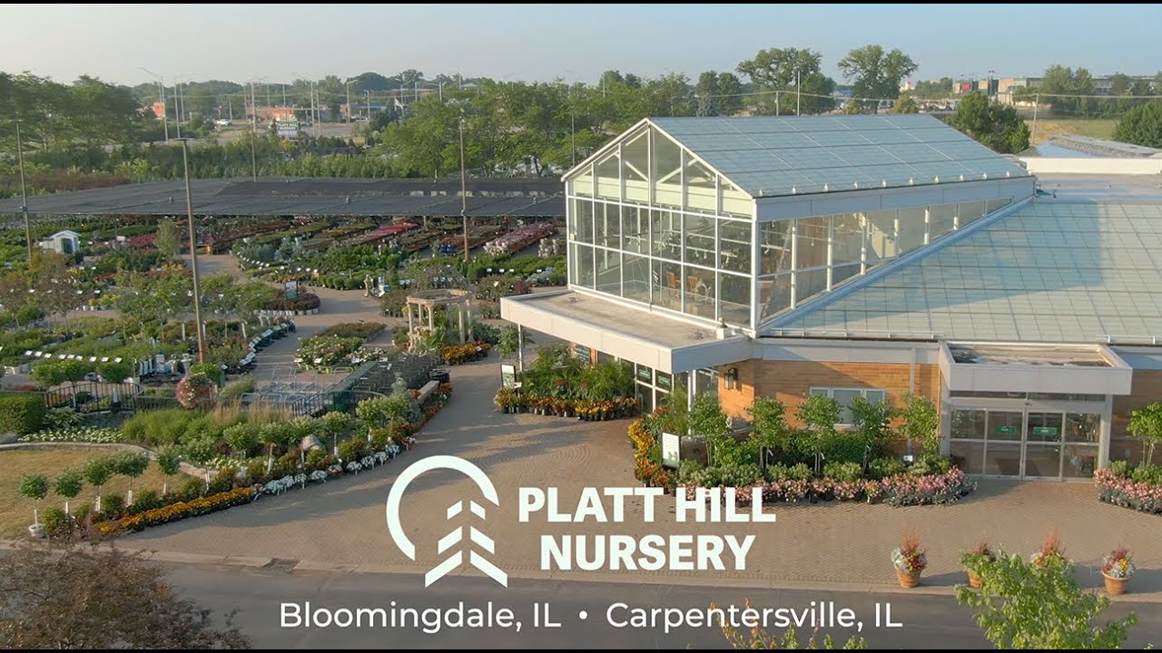 Platt Hill Nursery Carpentersville