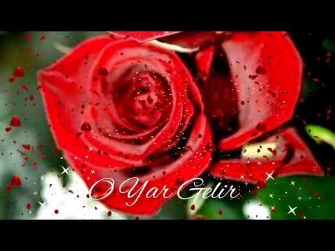 O Yar Gelir Türküsü ⚘Müziksiz Türküler⚘Türkü Dinle⚘Türküler⚘En Güzel Türküler⚘Türküler sevdamız
