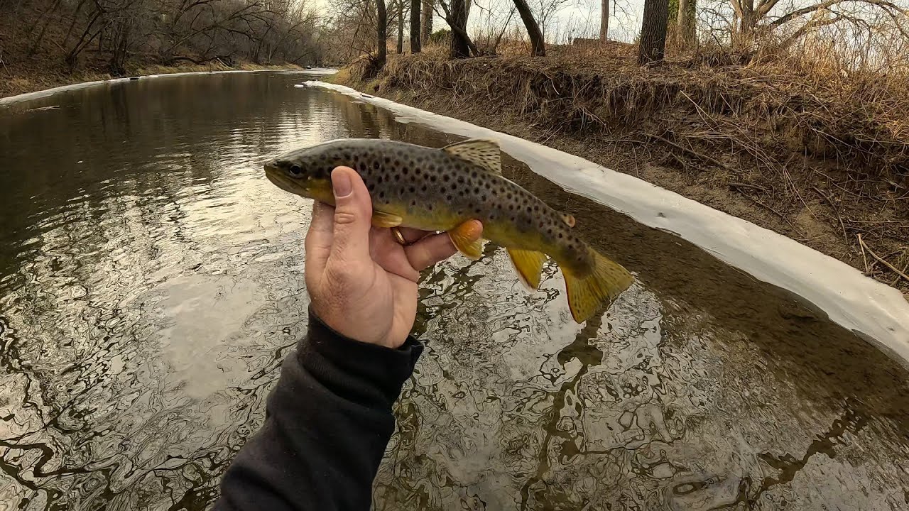 WTF - Minnesota Trout Fishing 12/7/2024 - YouTube
