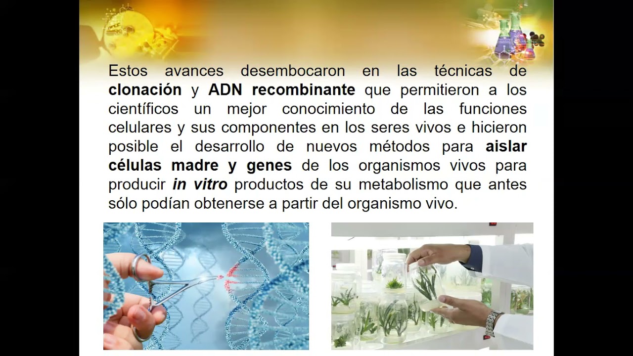 Biotecnología tradicional y moderna - YouTube