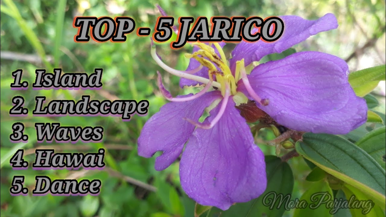 Top 5 Jarico Music || Full Bass - YouTube
