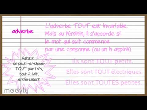Tout, tous, toutes - YouTube