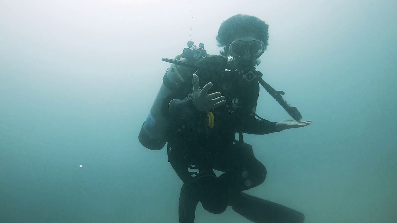 Dive compilations... - YouTube