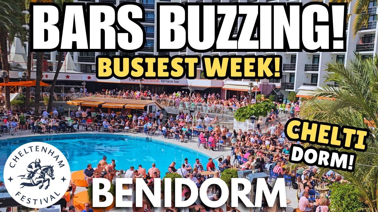 Benidorm - Bars BUZZING for Cheltenham! 🍻Busiest Week on the Strip ...