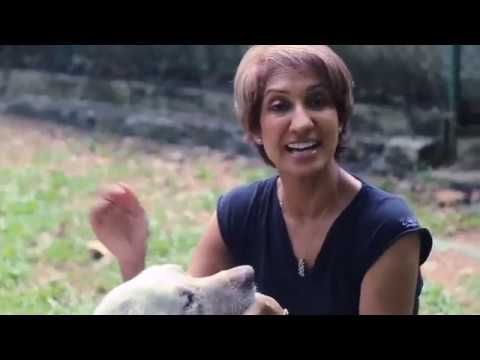 Embark hospital visit - YouTube