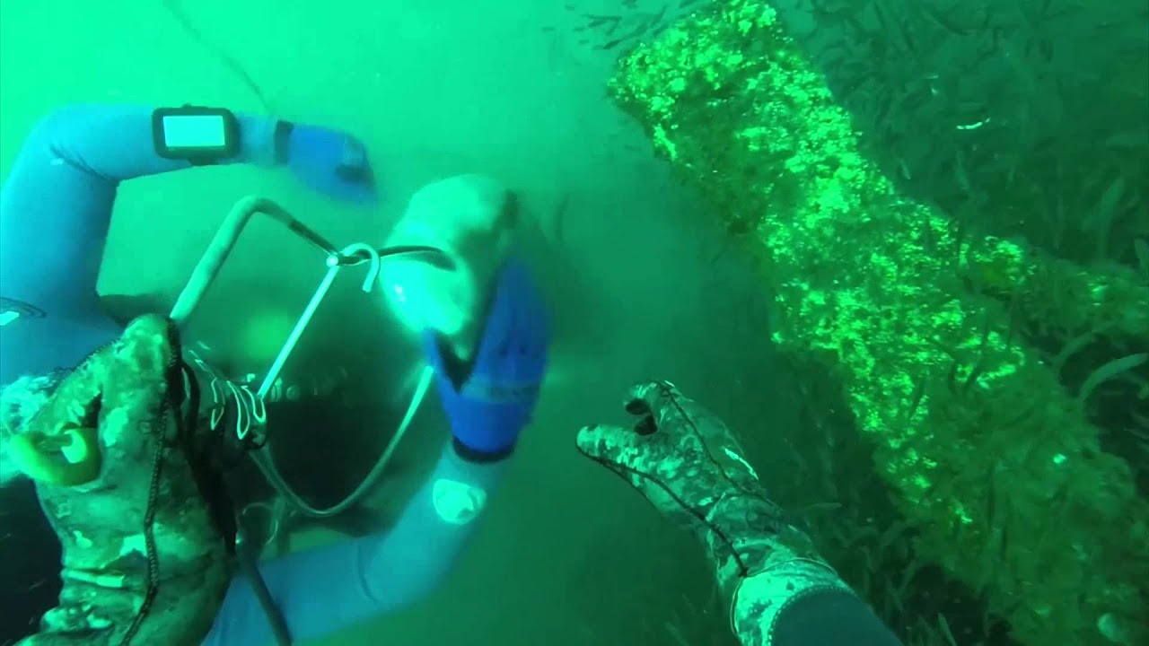 Wreck Diving in the Gulf of Mexico - YouTube