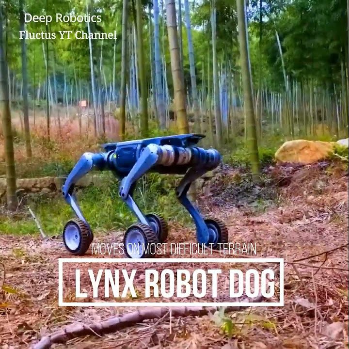 Lynx, the wheeled robot dog from DEEP Robotics, moves on the most ...