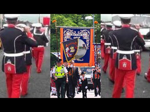 The 12th July the sash band parade Northern Ireland Vlog 3 - YouTube