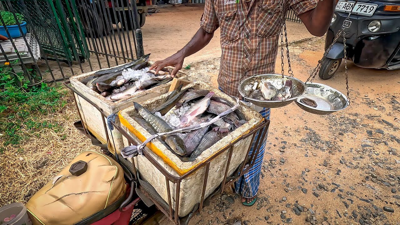 Morning Life of Fisherman Fish Cutting Skills Sri Lankan | Fish Cutter ...
