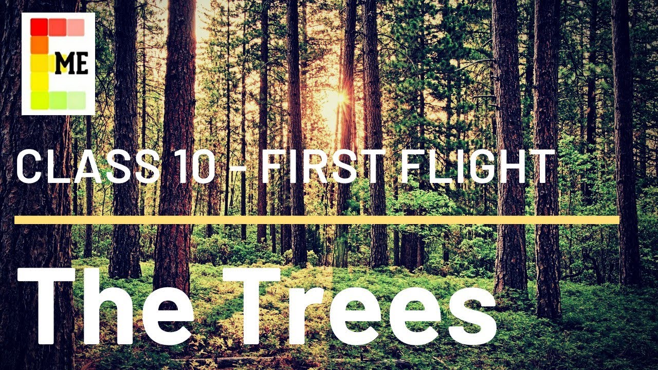 The Trees Poem Class 10 First Flight Poem 8 Explained With Literary the-trees-poem-class-10-first-flight-poem-8-explained-with-literary