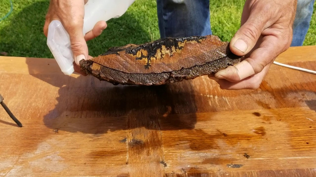 Split oak fractal burn - YouTube