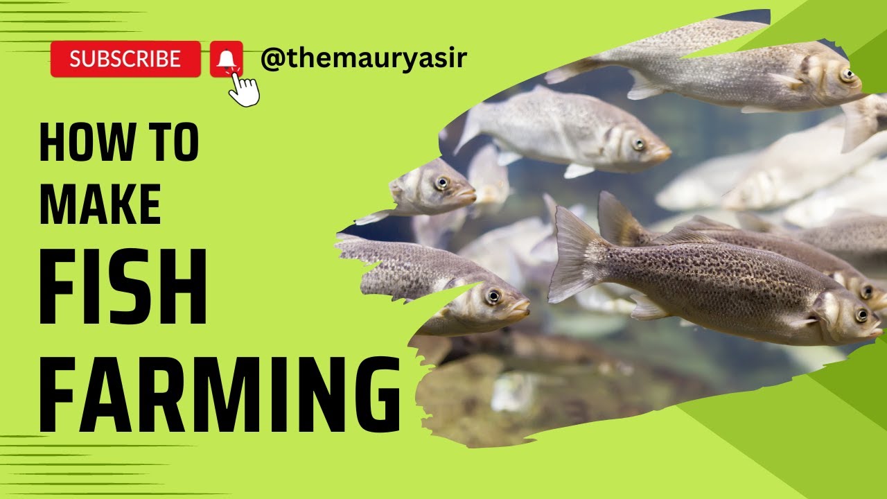 How to Make Fish Farming? मछली पालन कैसे करें? The Maurya Sir # ...