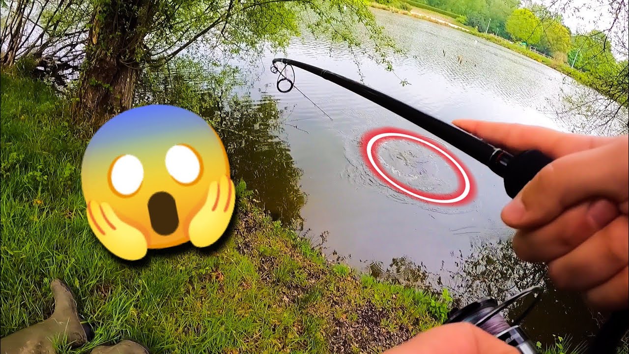 Je TRAQUE ce GROS poisson CACHÉ dans ces BRANCHES !!! - YouTube