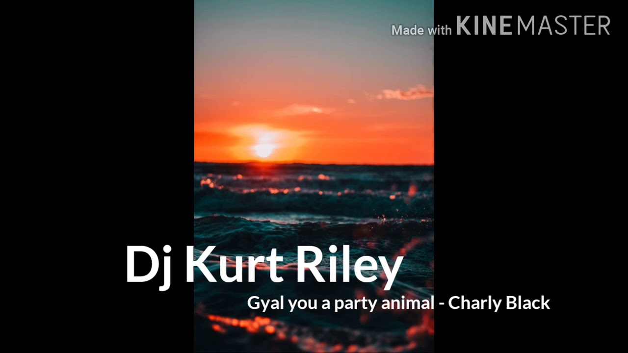 Dj Kurt Riley Gyal You a party animal - Charly Black - YouTube