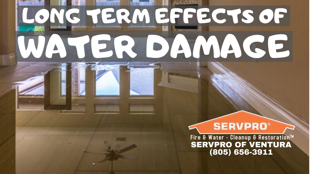 LONG TERM EFFECTS OF WATER DAMAGE YouTube long-term-effects-of-water-damage-youtube