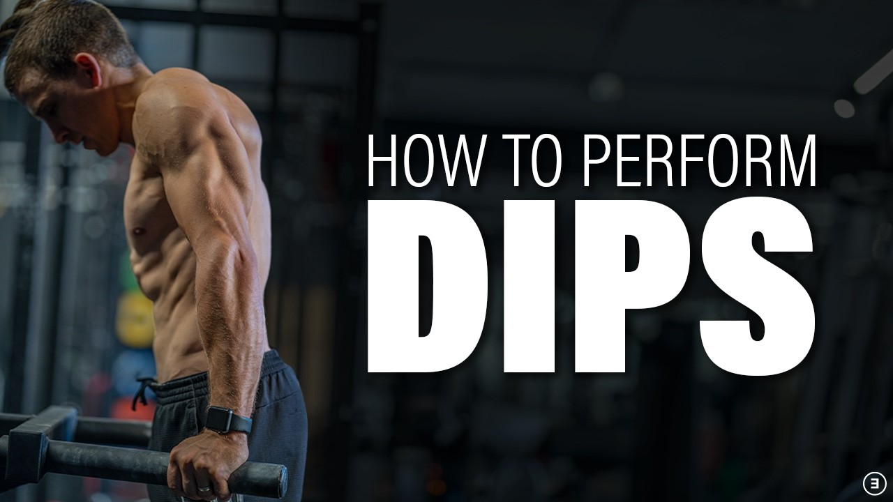 How To Set Up, Perform, & Program Dips Without Pain (Progressions ...