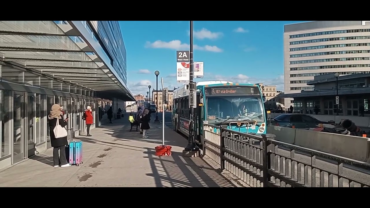 STO Bus #1905 a 2019 Nova Bus LFS HYBRID 4th Gen... Low Floor bus ...